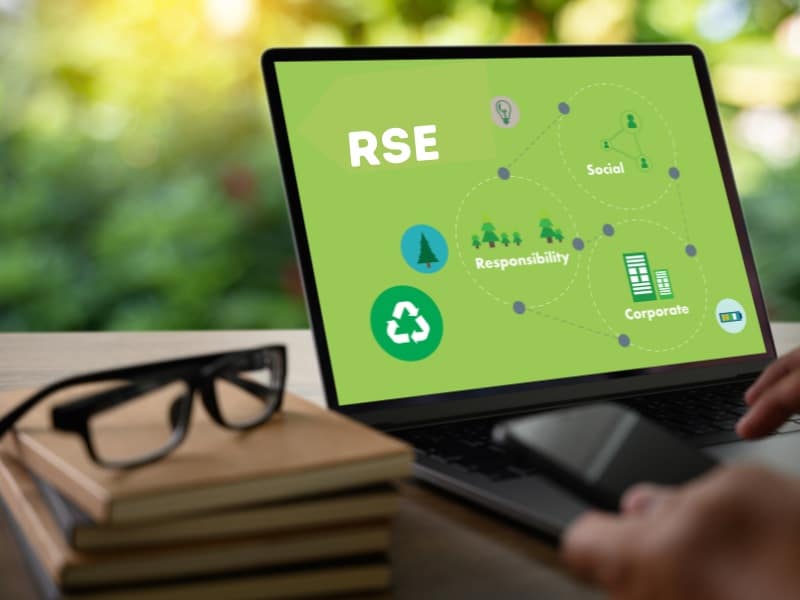 Responsabilité sociétale des entreprises (RSE) : de quoi s’agit-il ...